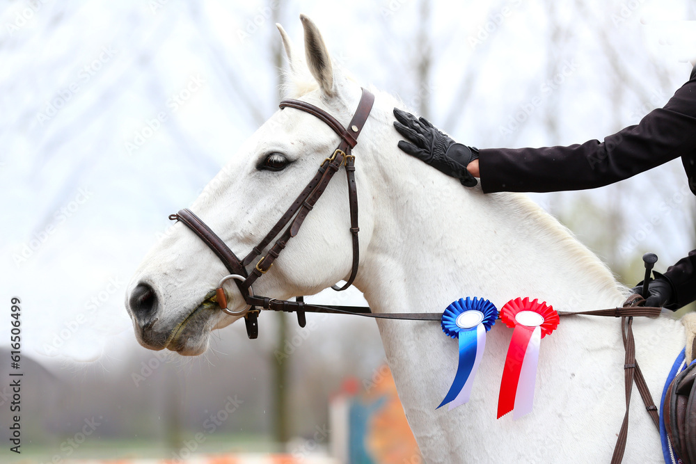 Equestrian sports and victory. Riding a horse. Equestrian background ...