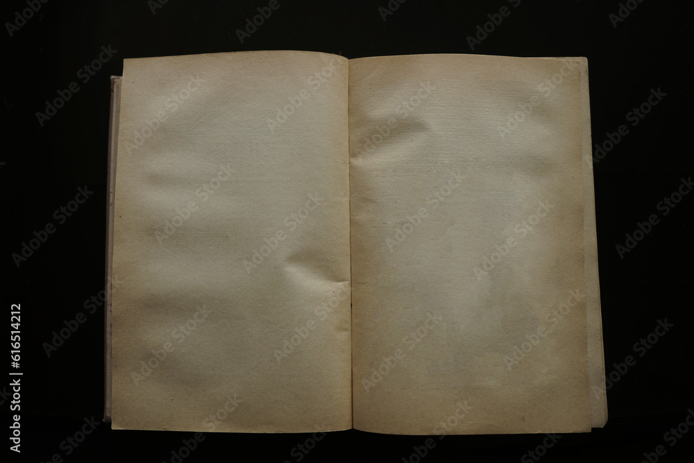 Antique book unfolded in the middle showing aged textured pages. Mock ...