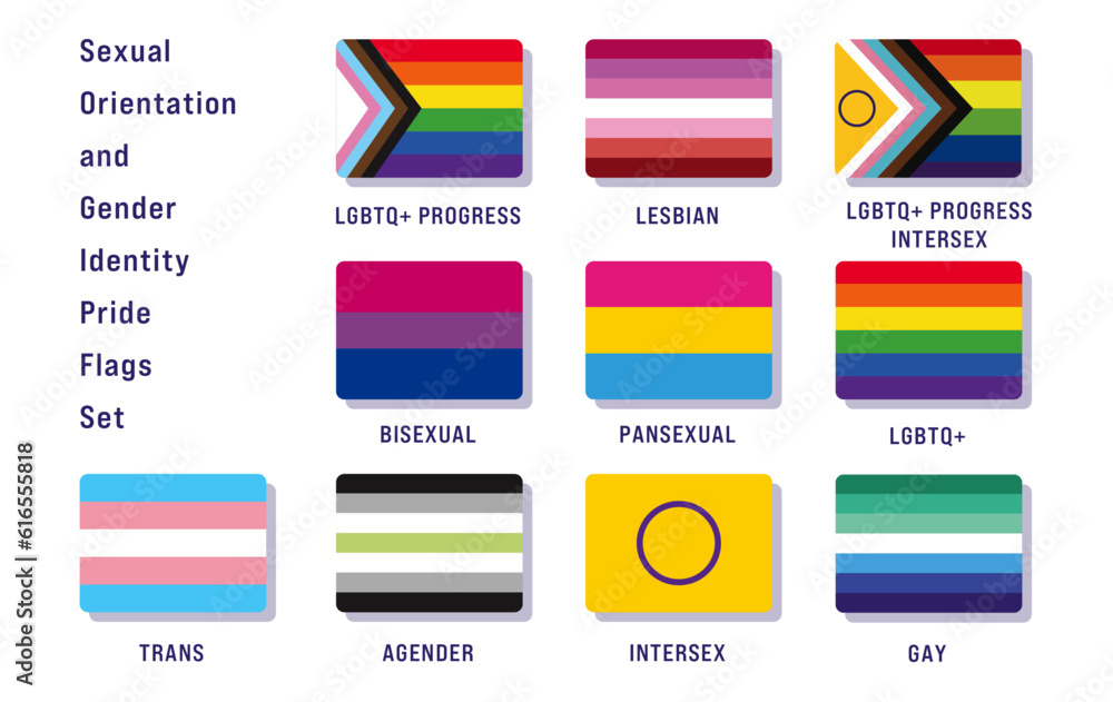 Sexual Orientation And Gender Identity Pride Flags Set Stock Vector
