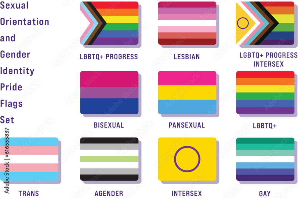Sexual orientation and gender identity pride flags set Stock Vector ...