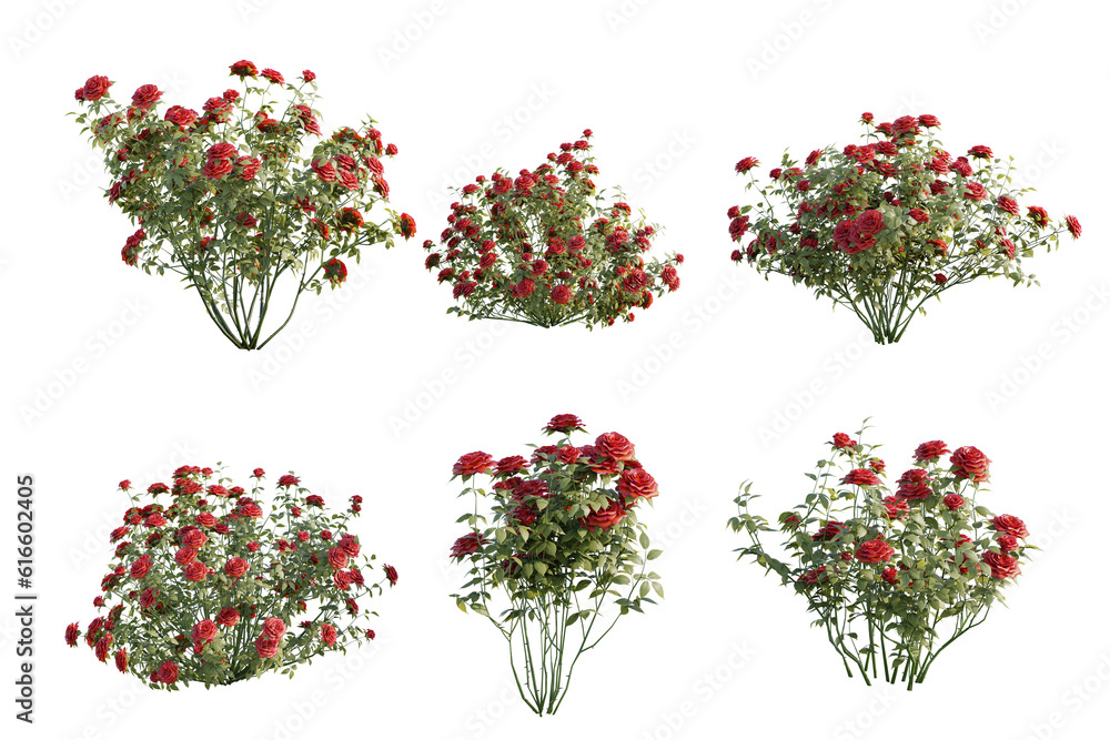 isolated shrub flower bushes in 3 variation, best use for landscape ...