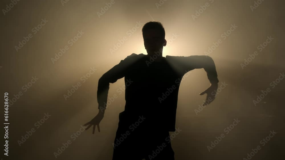 Beautiful dancing background slow motion, ART 4K concept. Silhouette of ...