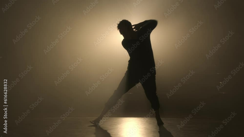 Beautiful dancing background slow motion, ART 4K concept. Silhouette of ...