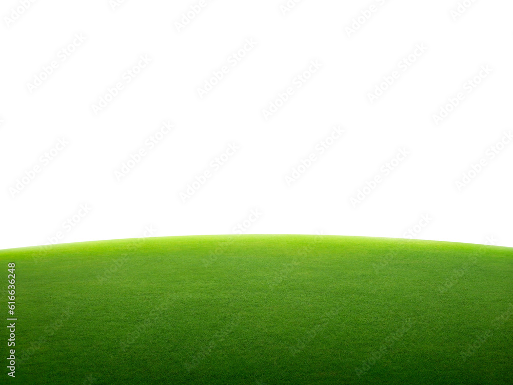 green grass field, transparent background Stock Illustration | Adobe Stock
