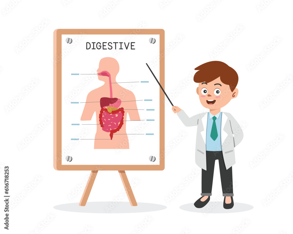 Digestive system clipart cartoon. Doctor presenting human digestive ...