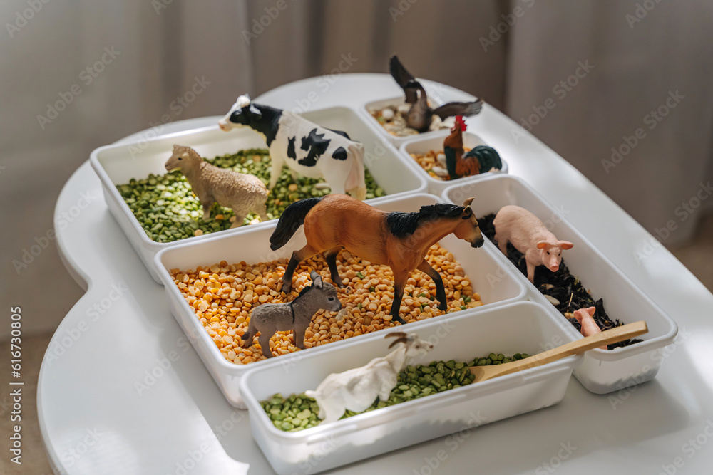 Farm animals in sensory bin. Educational game. Learning through play ...