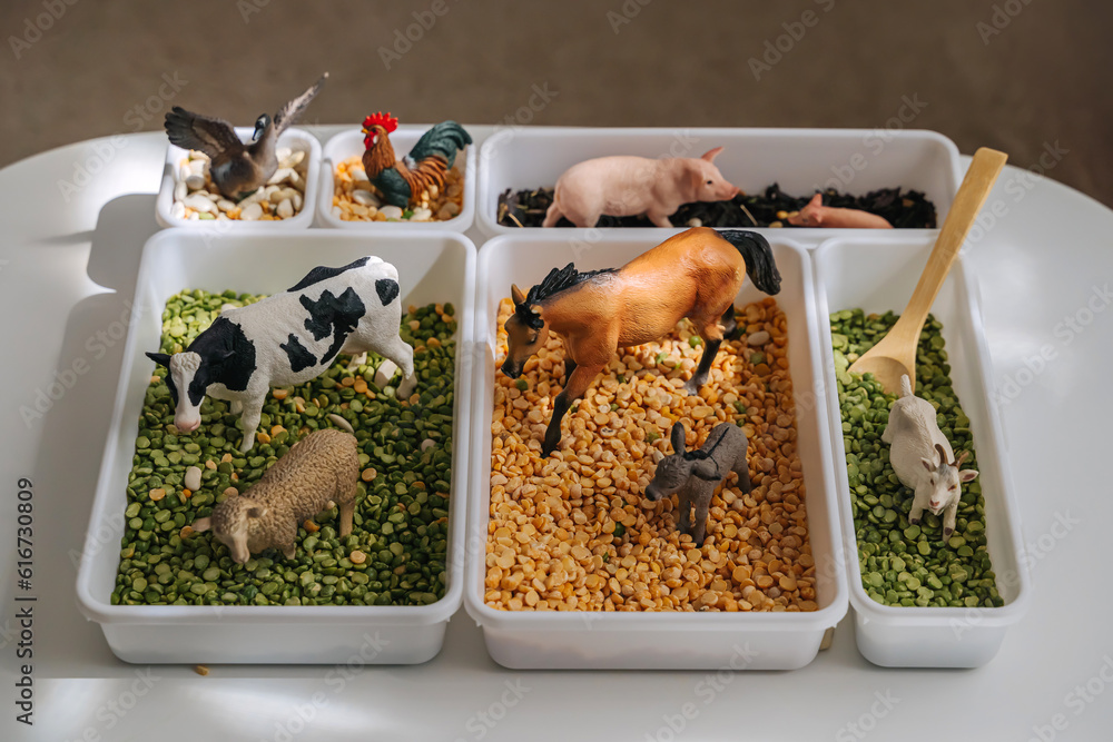Farm animals in sensory bin. Educational game. Learning through play ...