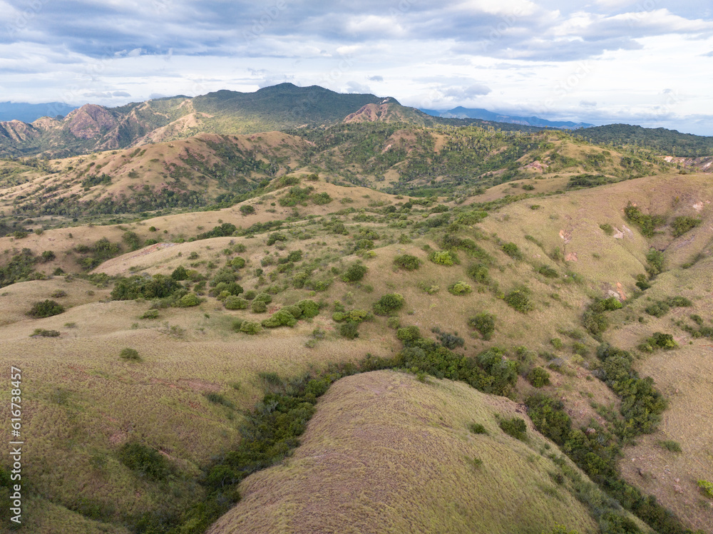 Grass and sparse forest covers Rinca Island in Komodo National Park ...
