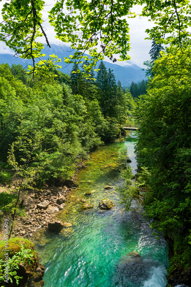 Landscape of Radovna River Valley in Vintgar Gorge Slovenia Stock Photo ...