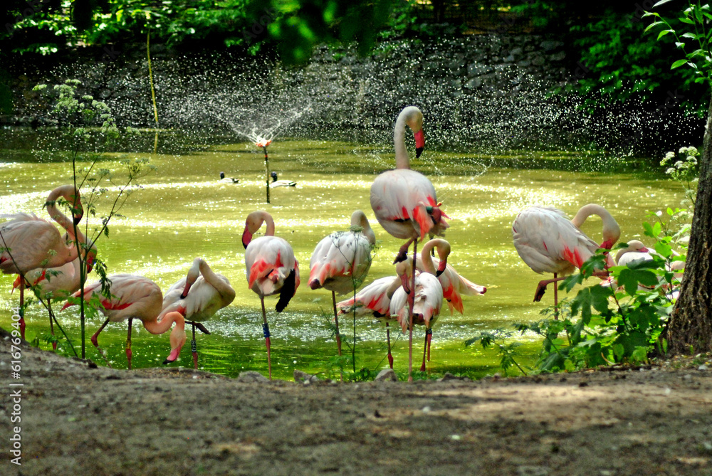 Kyiv Zoo 2023 Stock Photo | Adobe Stock