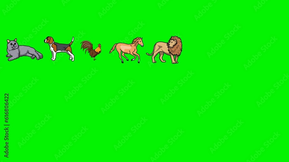 all animals background Sketch and 2d animated, all animals, cat, dog ...