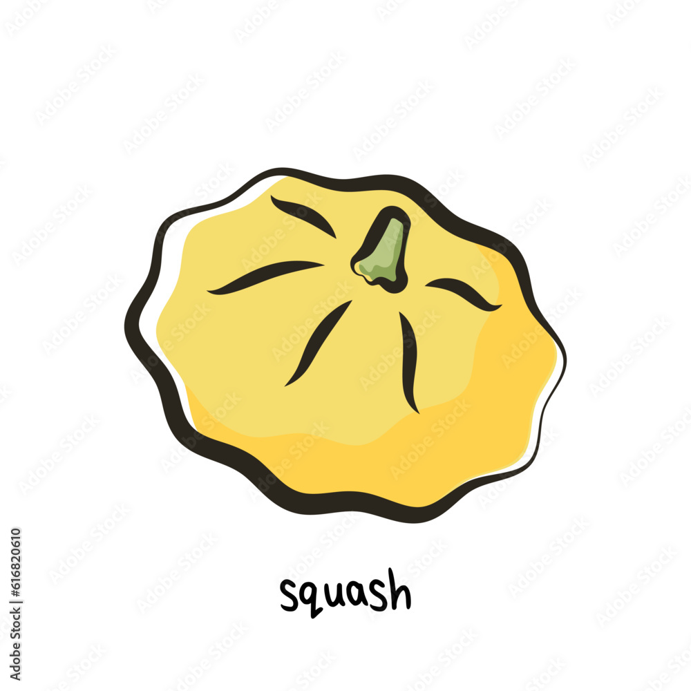 Yellow squash icon in cartoon flat style with outline. Squash isolated ...