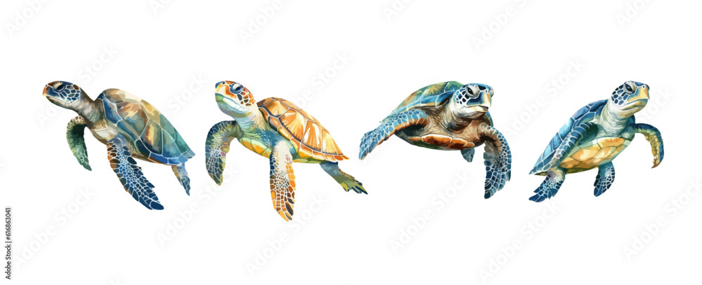 Set of sea turtle watercolor isolated on white background. Ocean animal ...