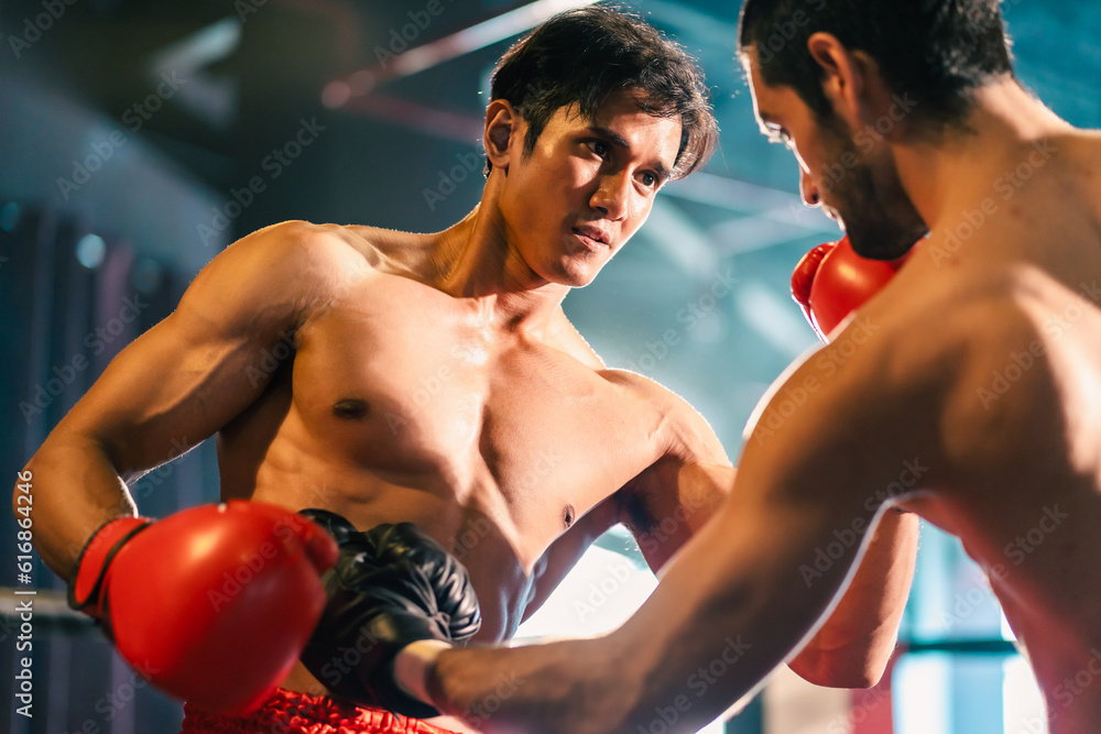 Gym atmosphere, Two professional fighters posing on the sport boxing ...