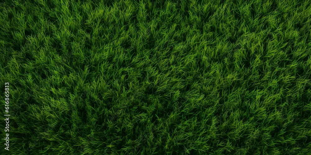 Wide format background image of green carpet of neatly trimmed grass ...