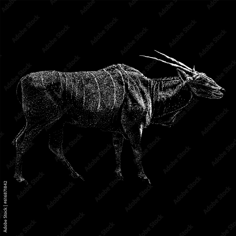 Eland hand drawing vector isolated on black background. เวกเตอร์สต็อก ...