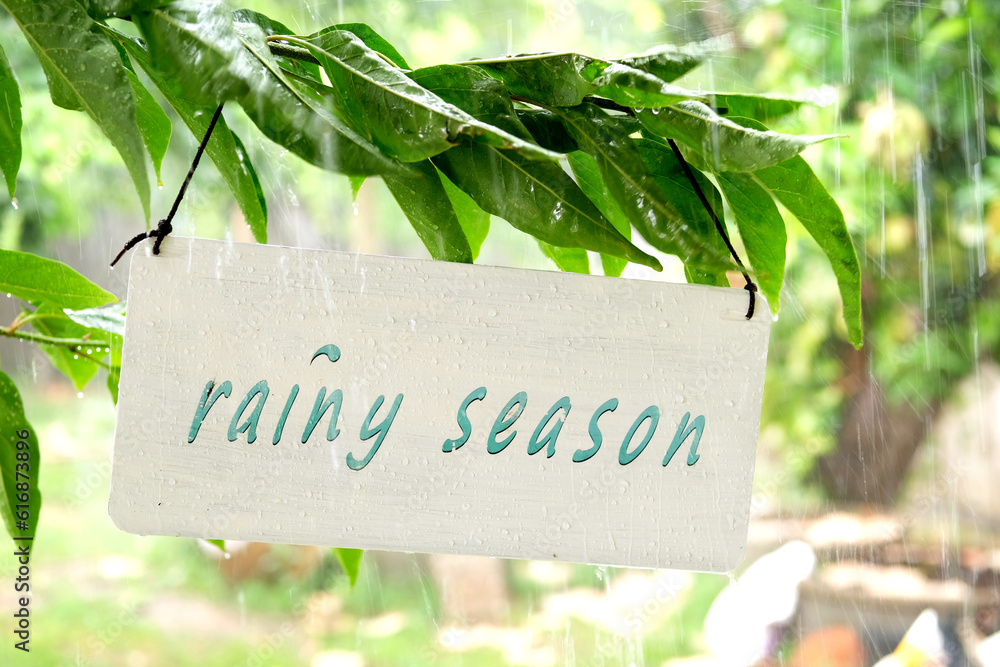 rainy season, regenzeit, rain, monsoon, asia, asia, seasen, rainy ...