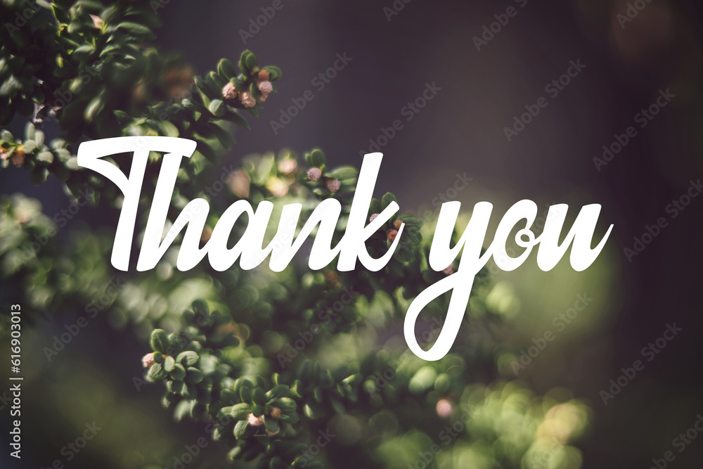 thank you card with a plant in the background Stock Photo | Adobe Stock