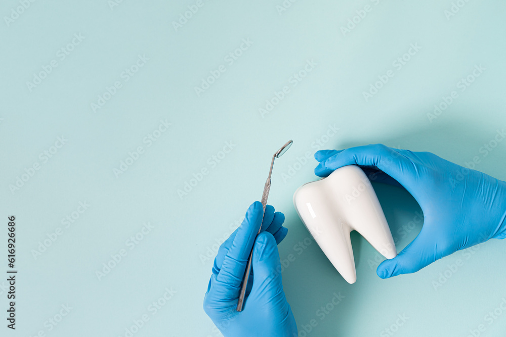 Dentist hands with healthy white tooth model and dentist mirror on a ...