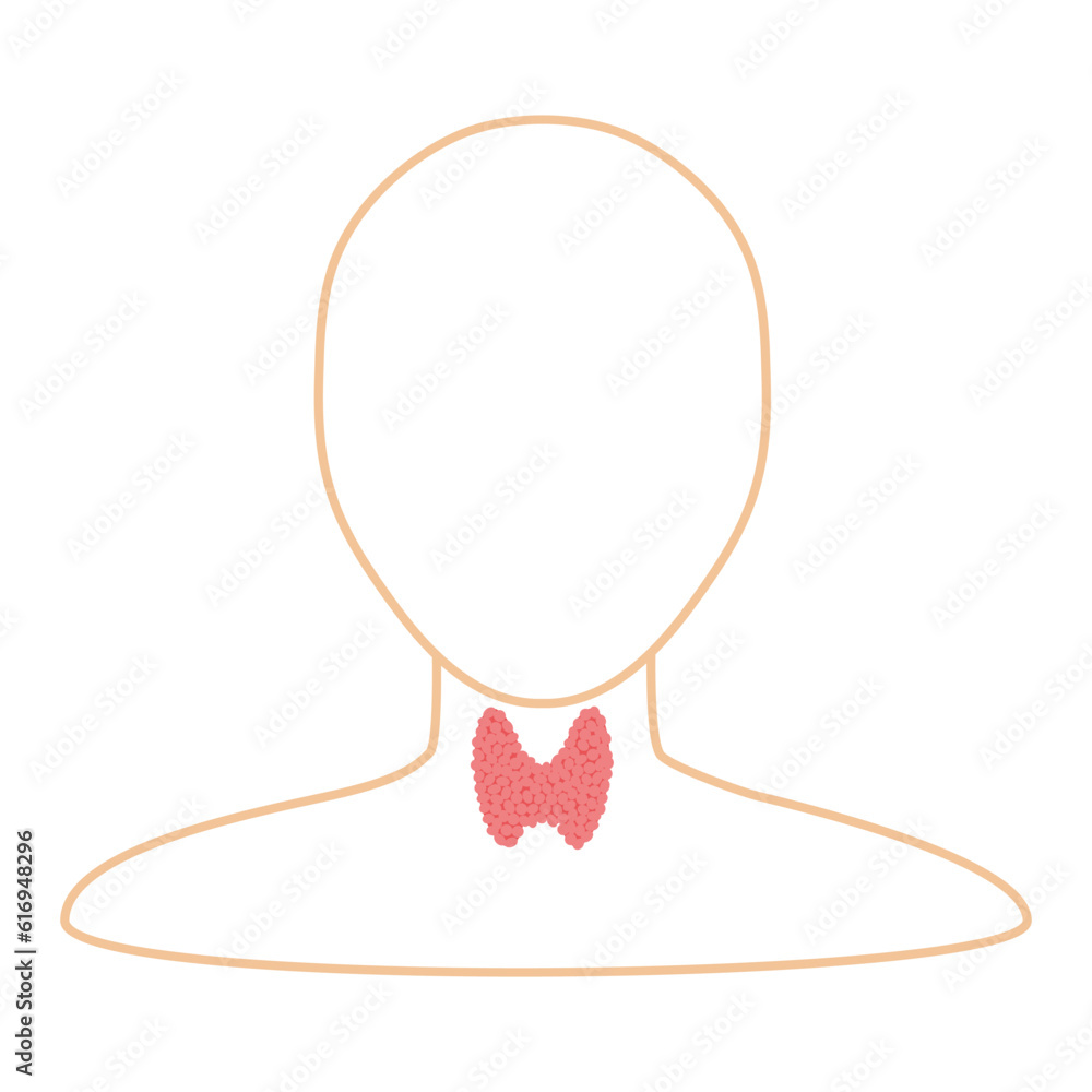 Thyroid gland organ on body silhouette medical infographics ...