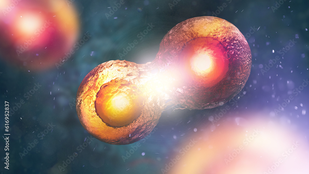 Cell embryo, Mitosis under microscope. 3D illustration Stock ...