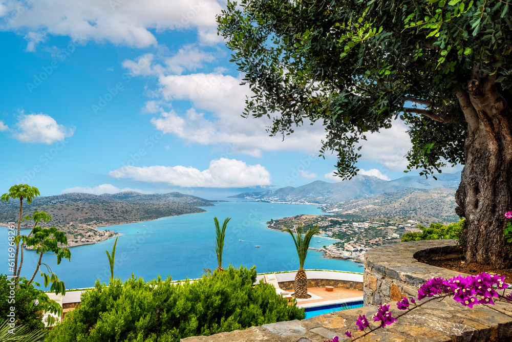 Beauty of a panoramic sea view that stretches beyond a vibrant garden ...