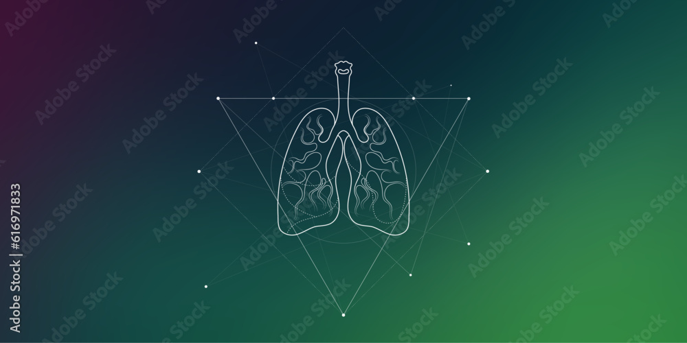 Minimal lungs and respiratory system illustration on gradient. Human ...