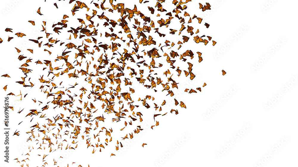 monarch butterflies, Danaus plexippus swarm isolated on transparent ...