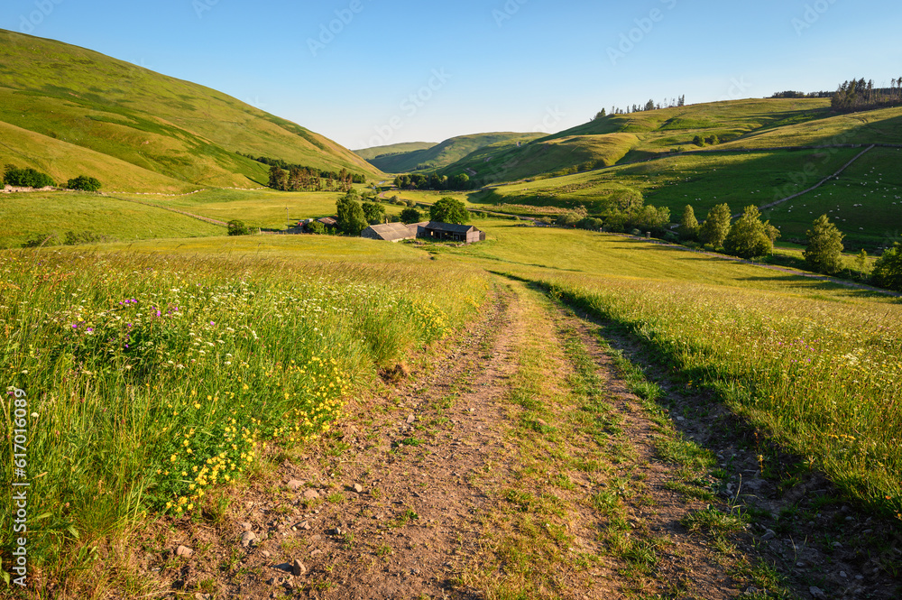 Barrowburn Hay Meadows looking down Coquetdale. The upland Hay Meadows ...