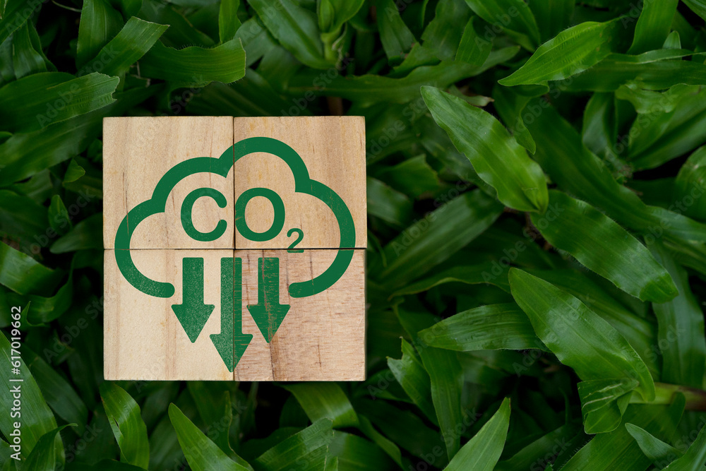 CO2 reducing icon print screen on wooden cube and green grass for decrease CO2 , carbon ...