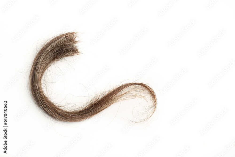 Un mechón de pelo sobre un fondo blanco liso y aislado. Vista superior ...