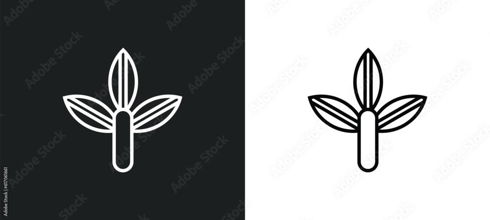 bael tree line icon in white and black colors. bael tree flat vector ...