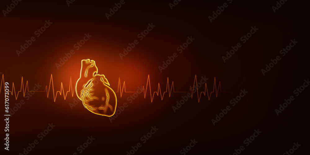 2d illustration Anatomy of Human Heart Stock Illustration | Adobe Stock
