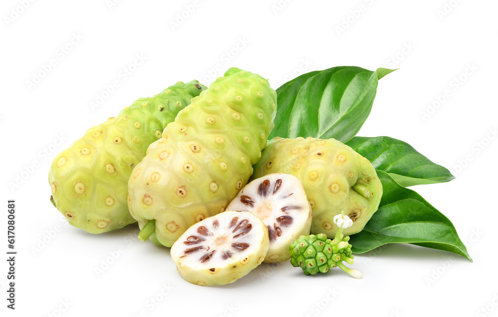 Noni or Morinda Citrifolia fruits isolated on white background ...