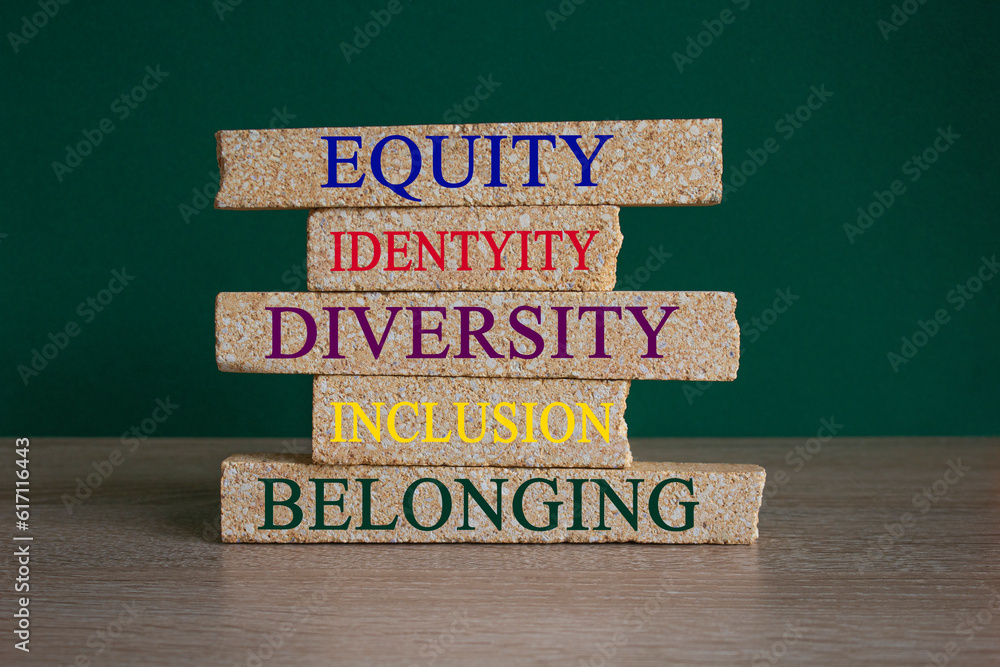Equity, idenyity, diversity, inclusion, belonging symbol. Brick blocks ...