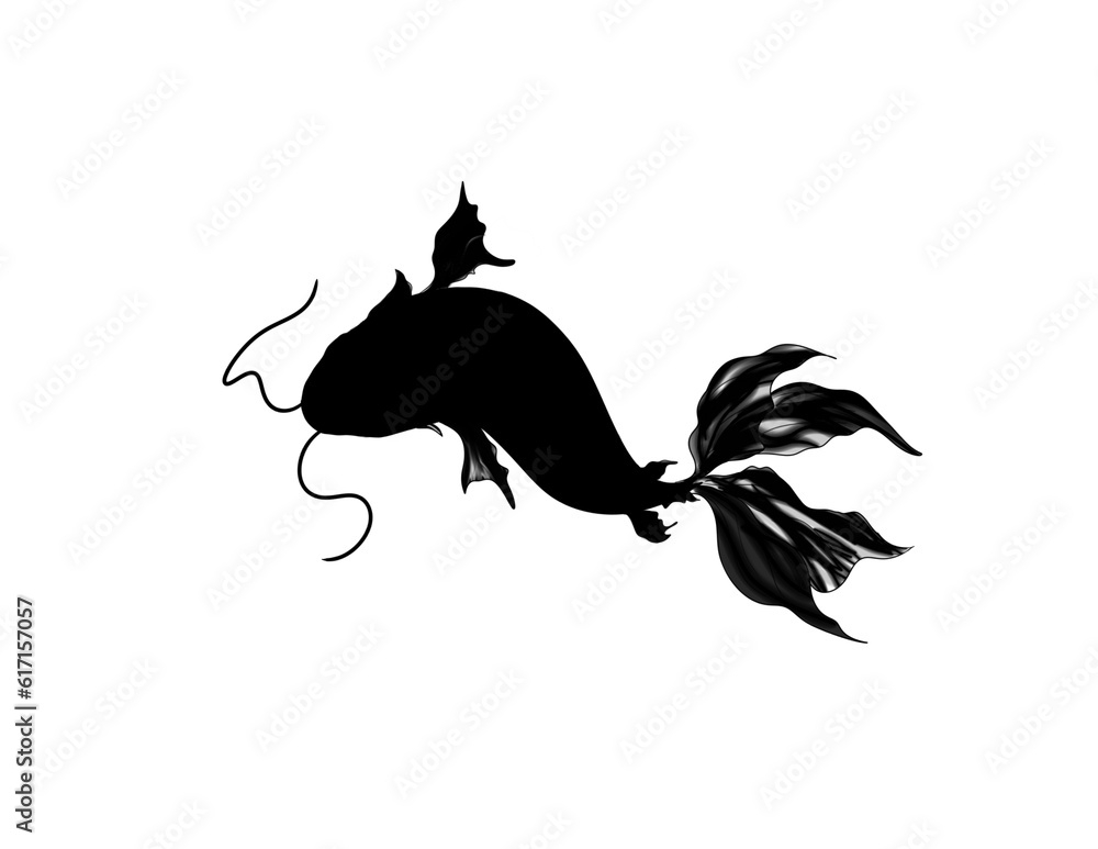 silhouette of fish, with.black shadow from above on white background ...