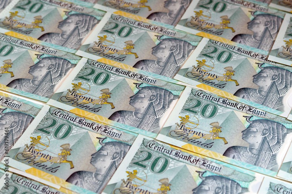 new Egyptian 20 EGP LE twenty polymer pounds cash money banknote bill ...