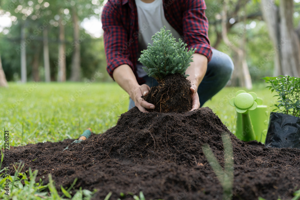 Young man's hands, volunteers planting plants growing in the soil while ...