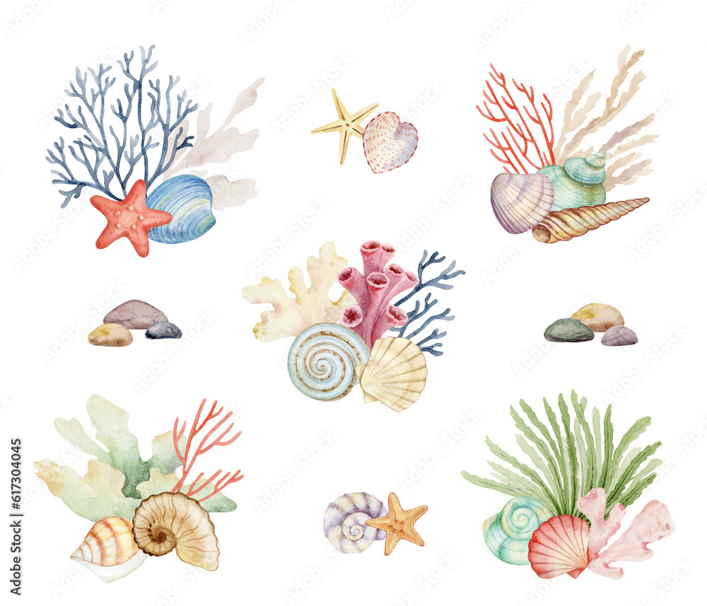 Watercolor underwater set of colorful seashells and seaweed. Hand drawn ...