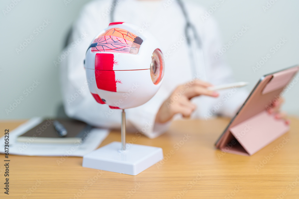 Doctor with human Eye anatomy model with magnifying glass. Eye disease ...