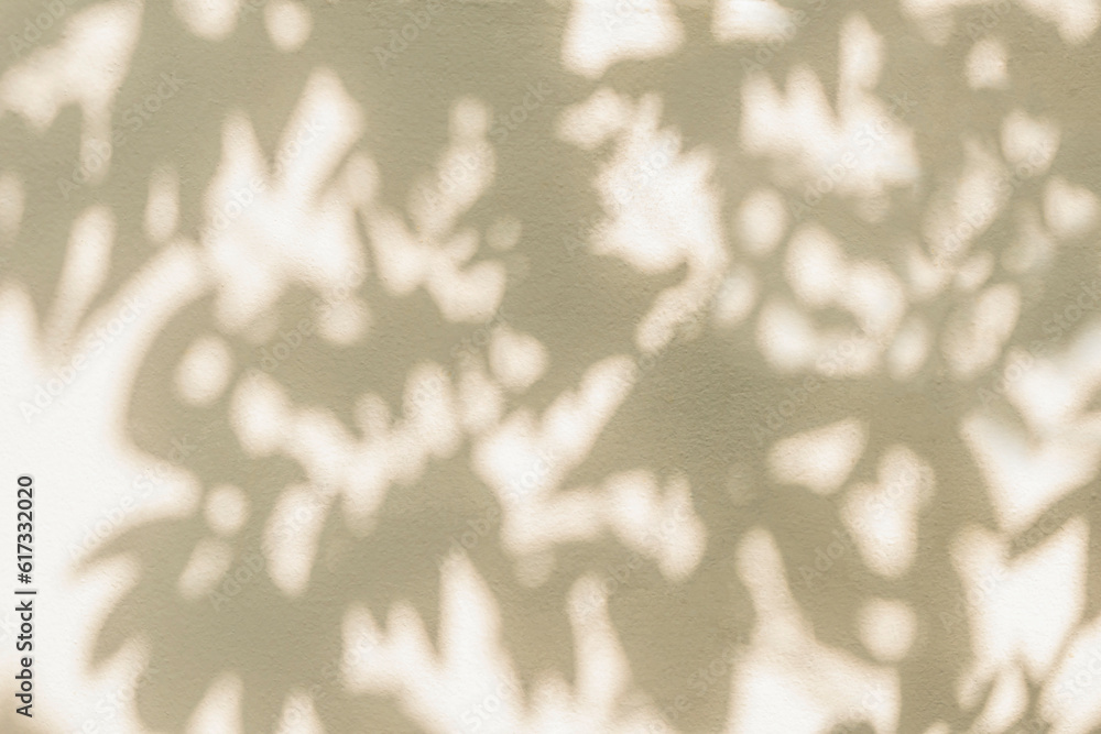 Leaf shadow and light on wall beige background. Nature tropical leaves ...