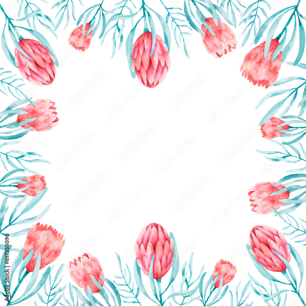 Square border frame with Protea flower. Digital watercolor design for ...