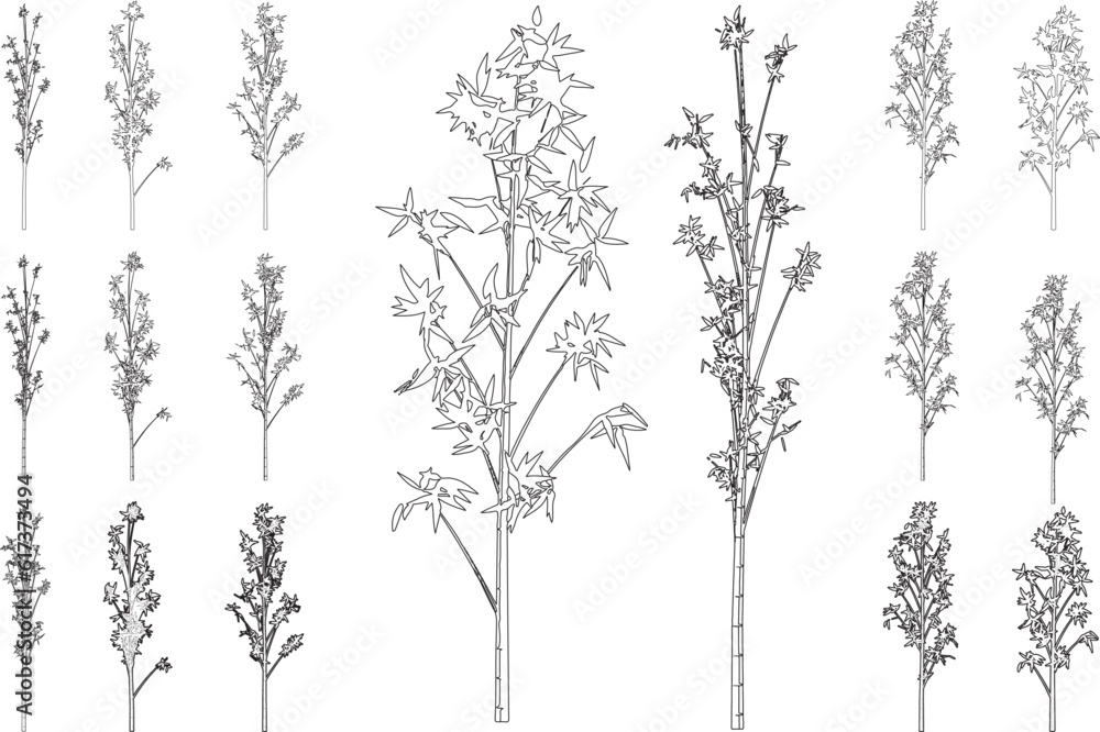 Tree elevation line silhouettes - bamboo Stock Vector | Adobe Stock
