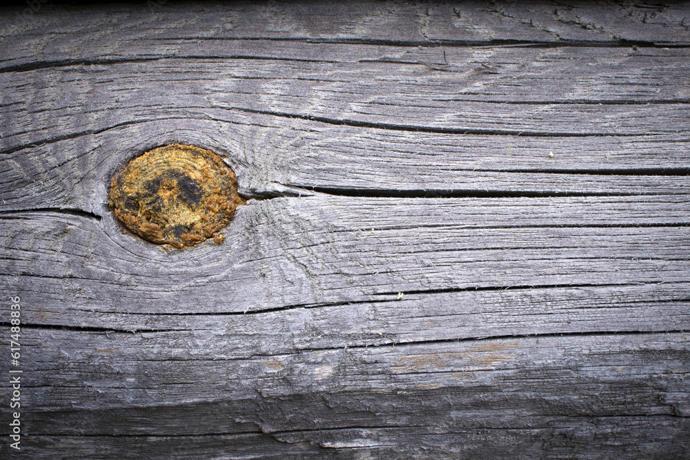 Aged Natural Gray Wood Texture Background Stock Photo Adobe Stock