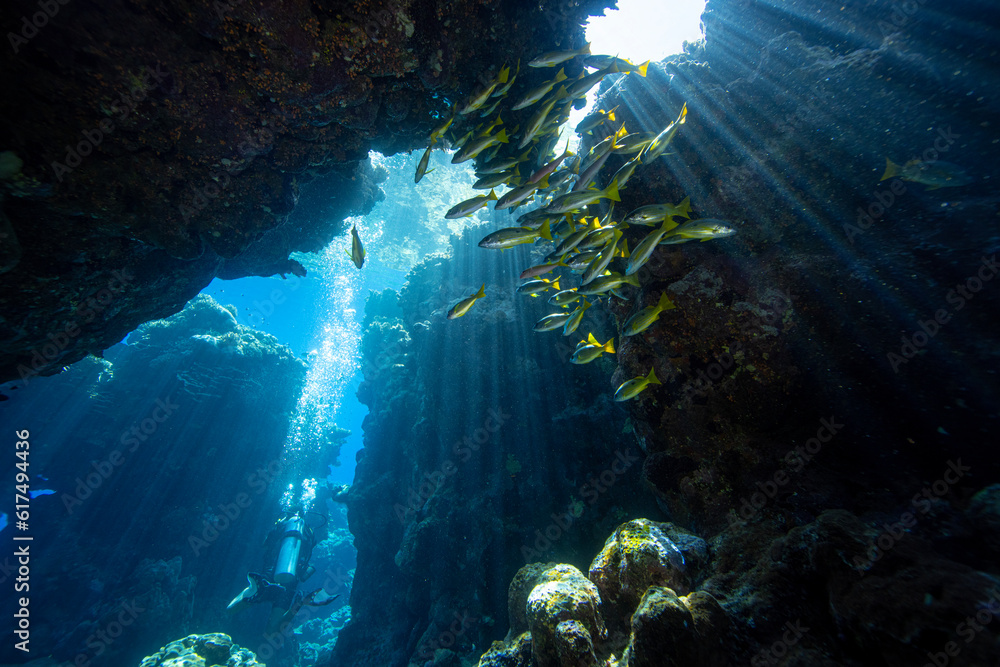 Poster Diver exploring the coral reefs and cave in Egypt. – Wall Art ...