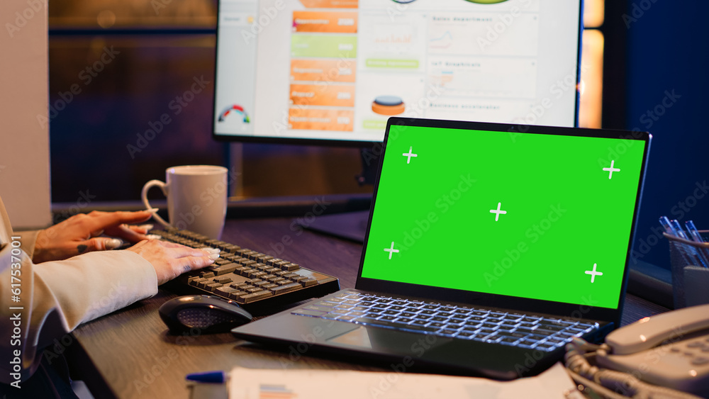 Executive agent analyzing green screen on laptop, sitting at desk ...