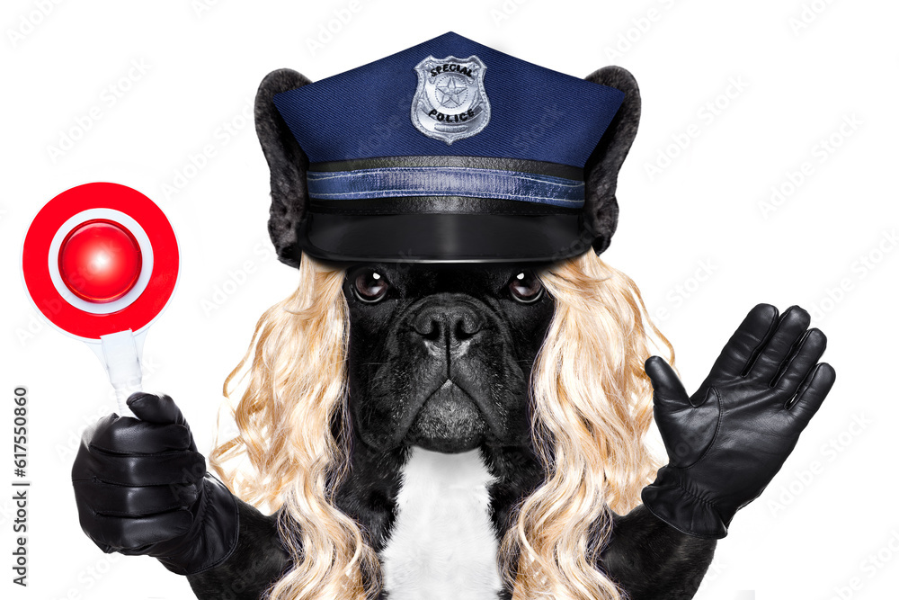 policewoman dog ON DUTY WITH stop sign and hand , isolated on white ...