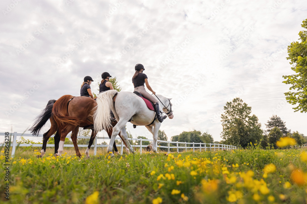 Rear view of three female riders riding horses side by side near white ...
