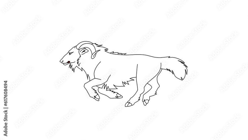 2d Hand Drawn Animation, Horned Sheep Run Cyle Cartoon On Isolated ...