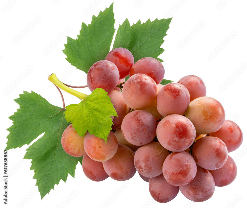 Queen Nina Grape with leaf On white background, Red grape isolate on ...